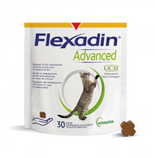 Flexadin Cat | Vetoquinol