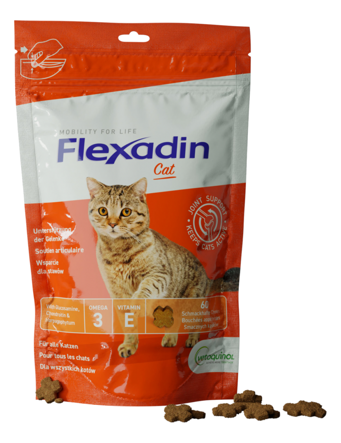Flexadin Cat | Vetoquinol
